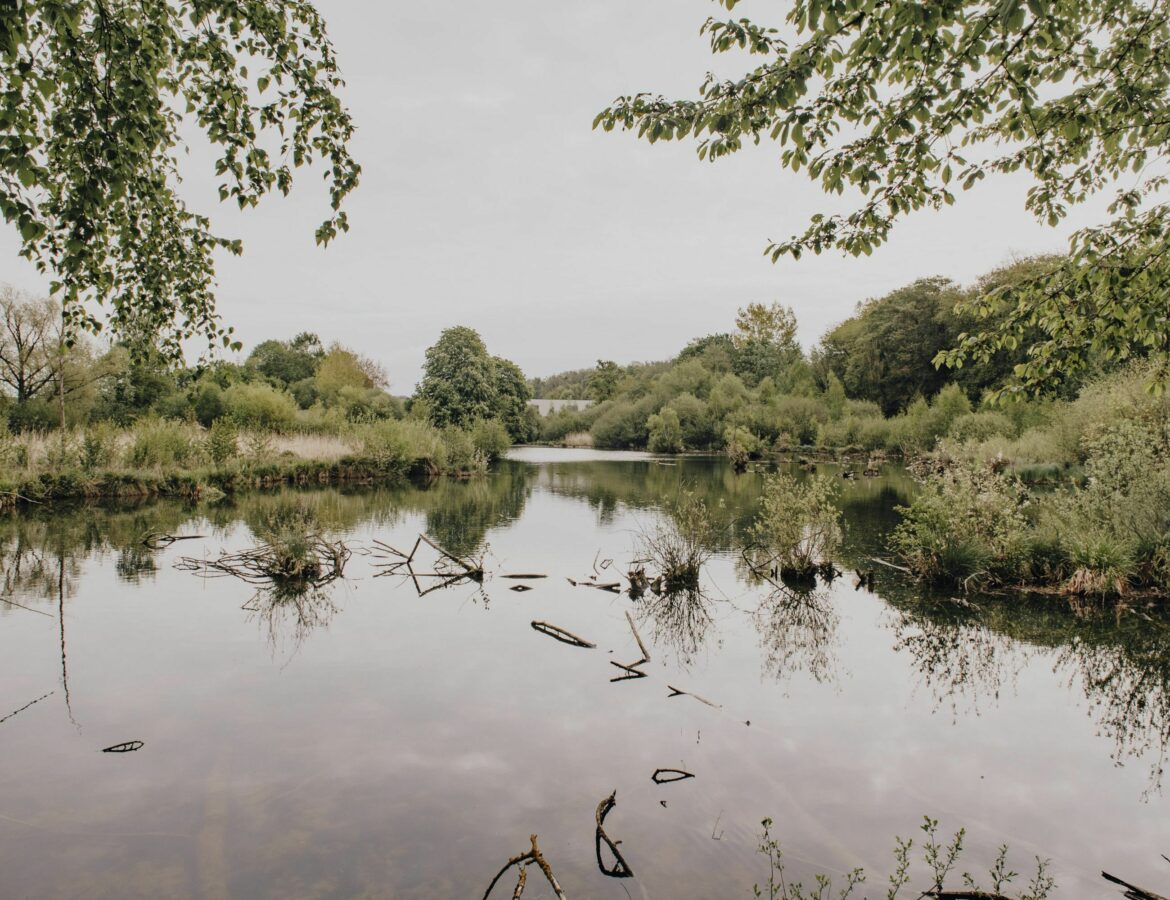 Des découvertes et des promenades nature - Pays des Lacs