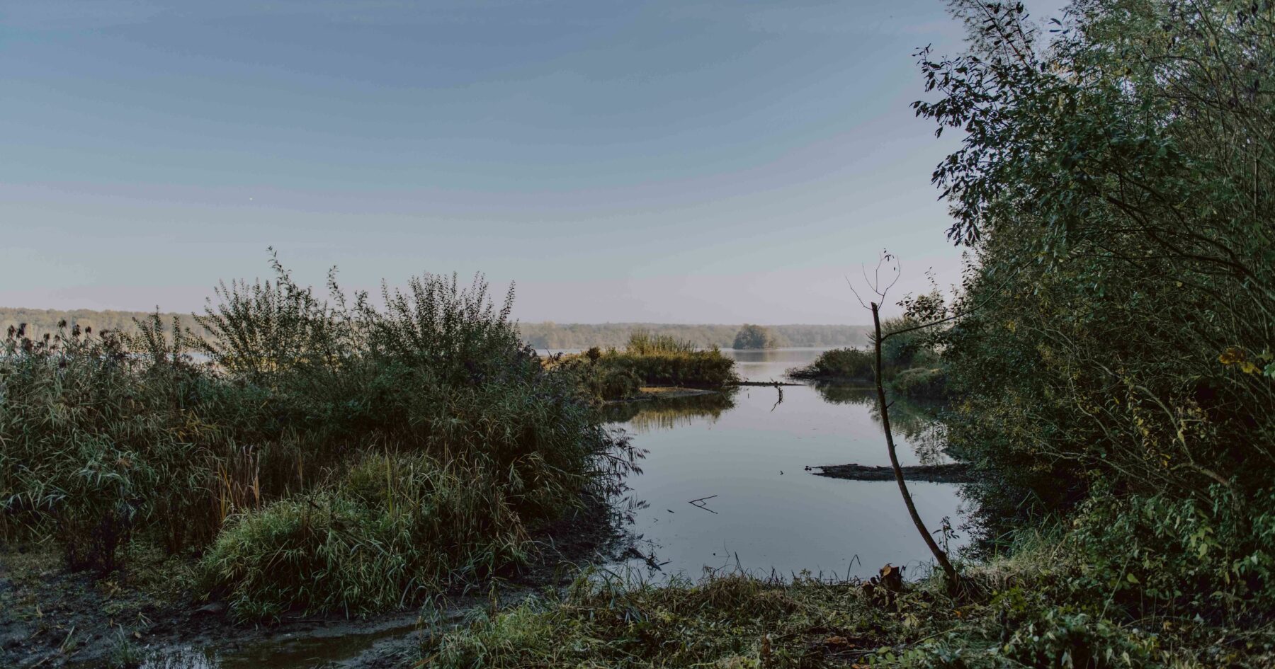 Aquascope - Pays des Lacs