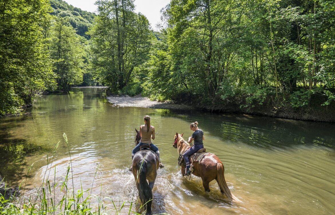 Pays des Lacs - Ensemble, réinventons le tourisme de manière durable