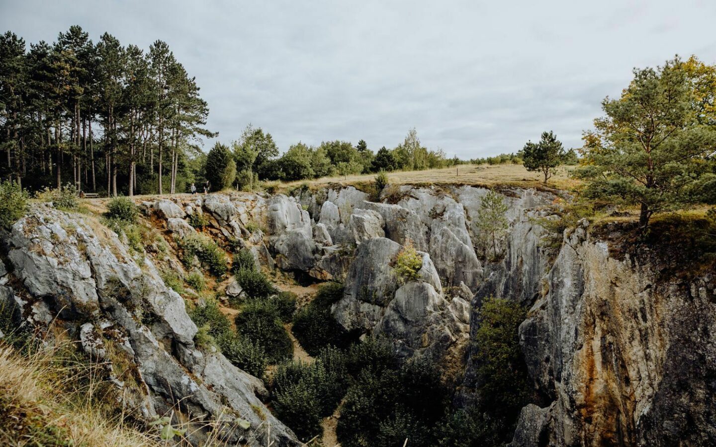 Des découvertes et des promenades nature - Pays des Lacs
