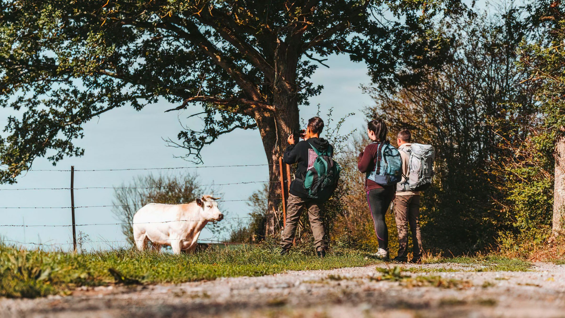 A propos du Pays des Lacs, région qui se prête au tourisme durable